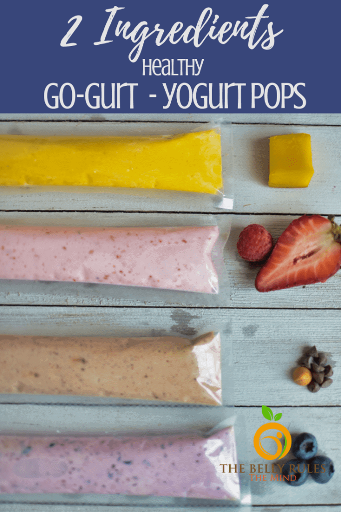 2-Ingredients Homemade Go-Gurts - The Belly Rules The Mind