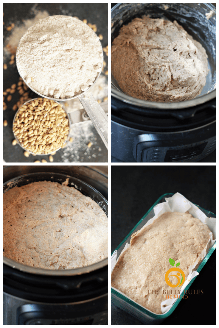 Everyday 100% Whole Wheat Bread - The Belly Rules The Mind