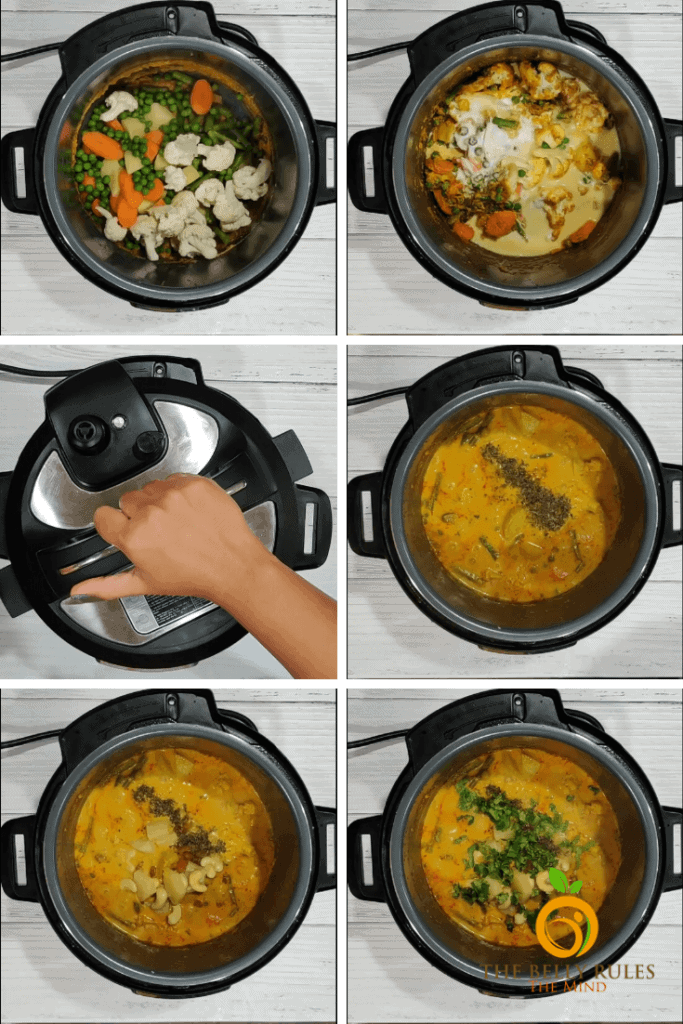Navratan Korma Recipe with Video | TheBellyRulesTheMind