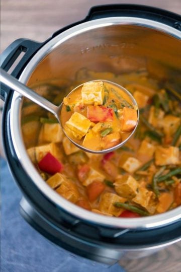 Panang Curry Recipe (With Video) | The Belly Rules The Mind