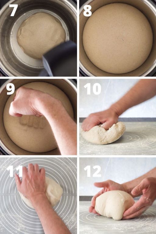 Bake Your Own Telera Roll : Mexican Telera Bread Video Recipe
