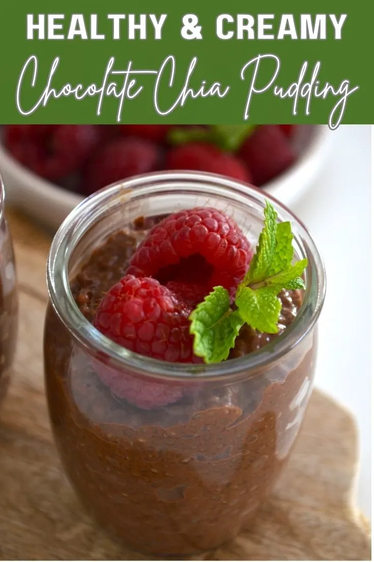 Healthy & Creamy Chocolate Chia Seed Pudding! - The Belly Rules The Mind