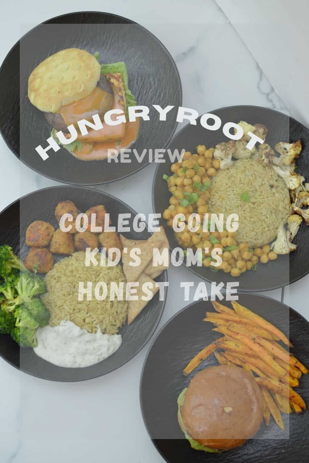 Hungryroot Review : A Busy Food Blogger's Honest Take - The Belly Rules ...